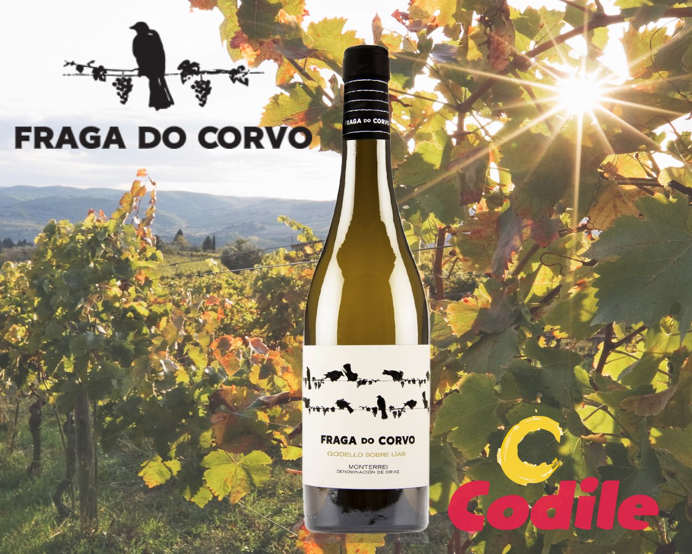 Vino blanco Fraga do Corvo GODELLO DO Monterei - CODILE · Distribuidor ...